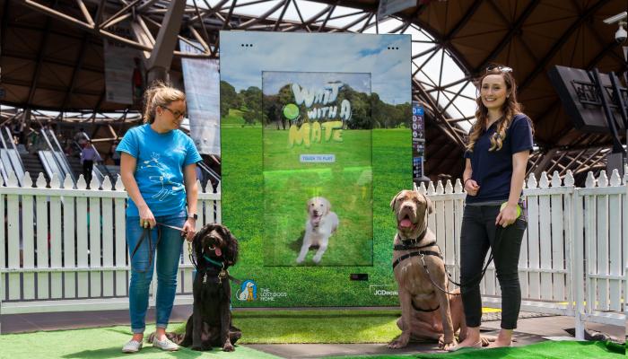 Commuters can now ‘Wait with a Mate’ from The Lost Dogs Home | JCDecaux ...