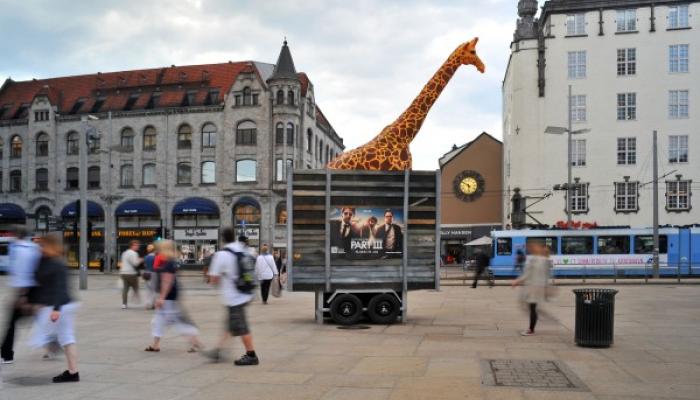 hangover 2 giraffe