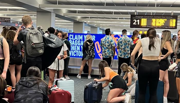 Flying Into Spring | JCDecaux